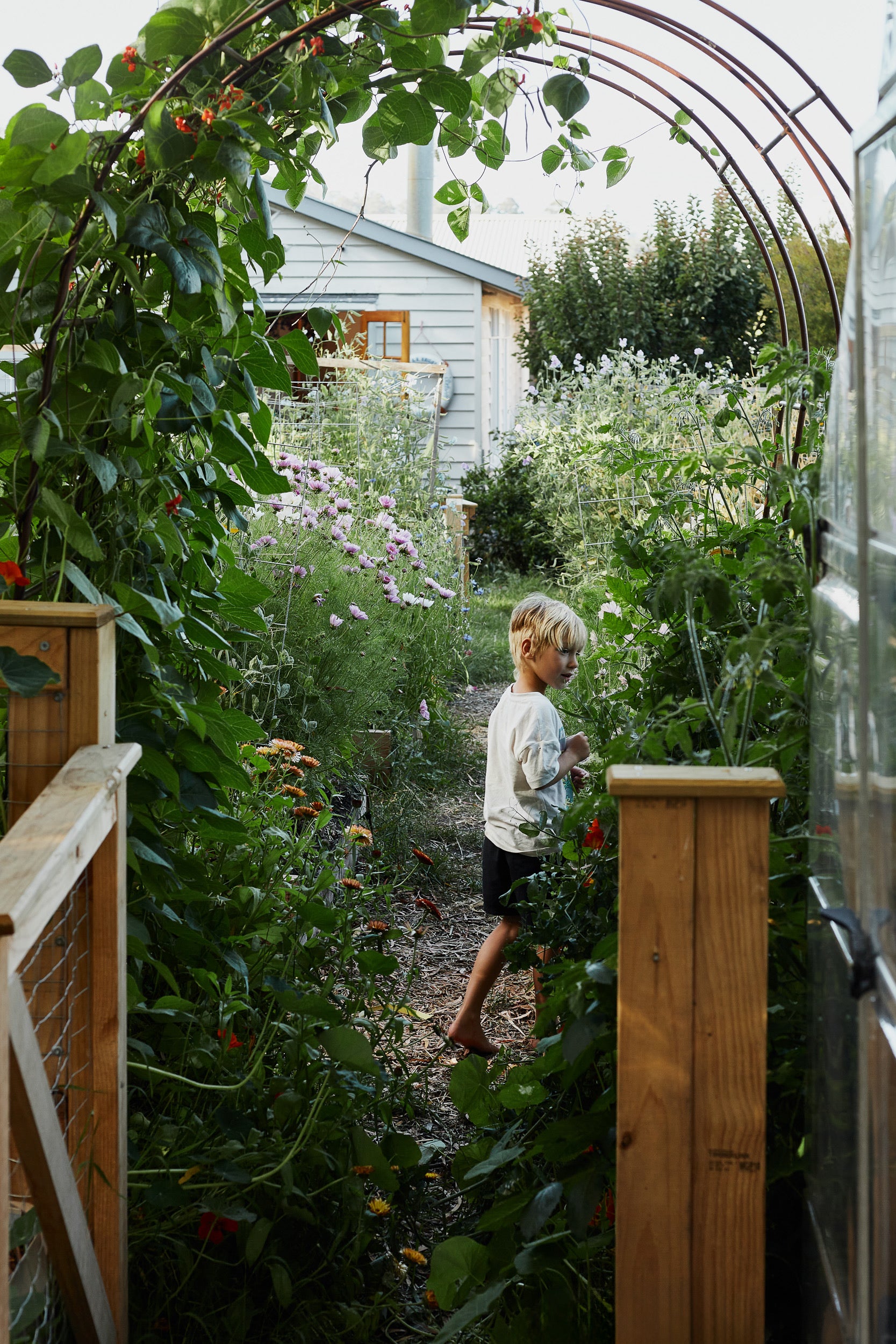 Companion Planting: Flowers That Grow Together To Benefit Each Other ...