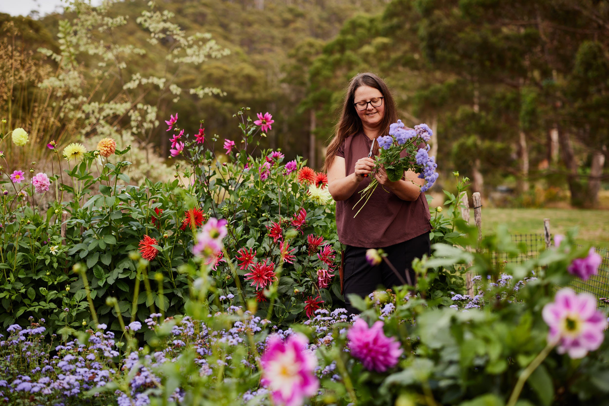 Flower Harvesting with Emma from Earthenry Flower Farm – Veggie ...