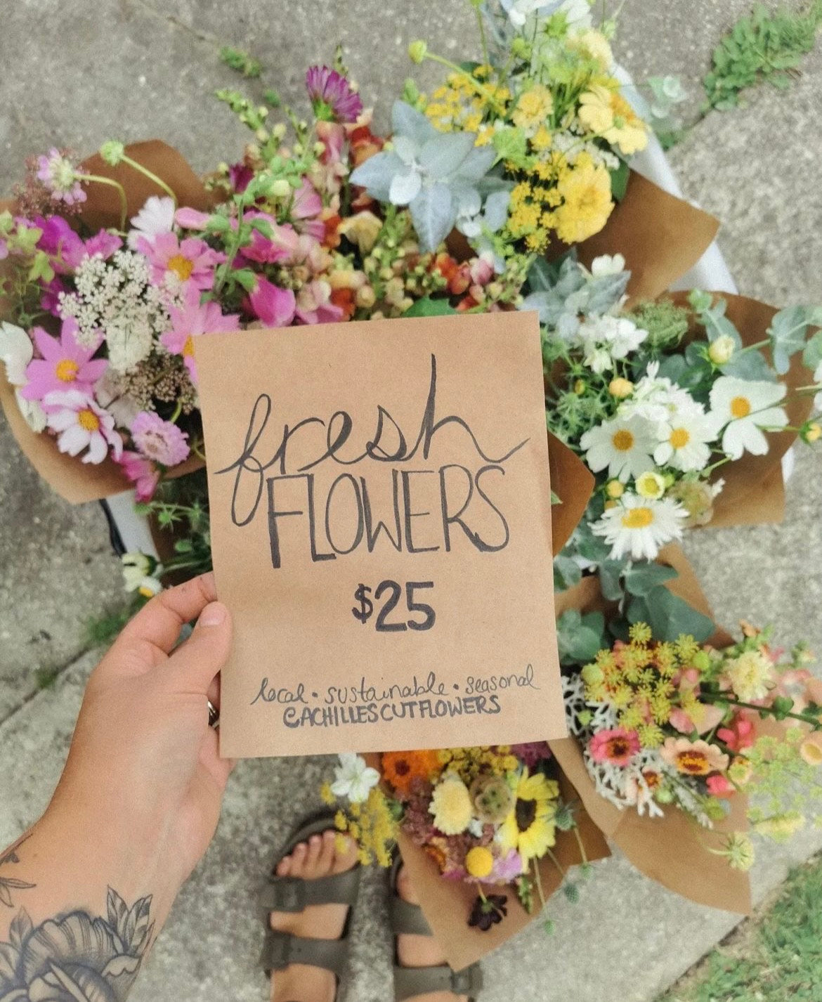 Meet Jess & her family, a micro flower farm in Lutruwita, Northern Tas ...