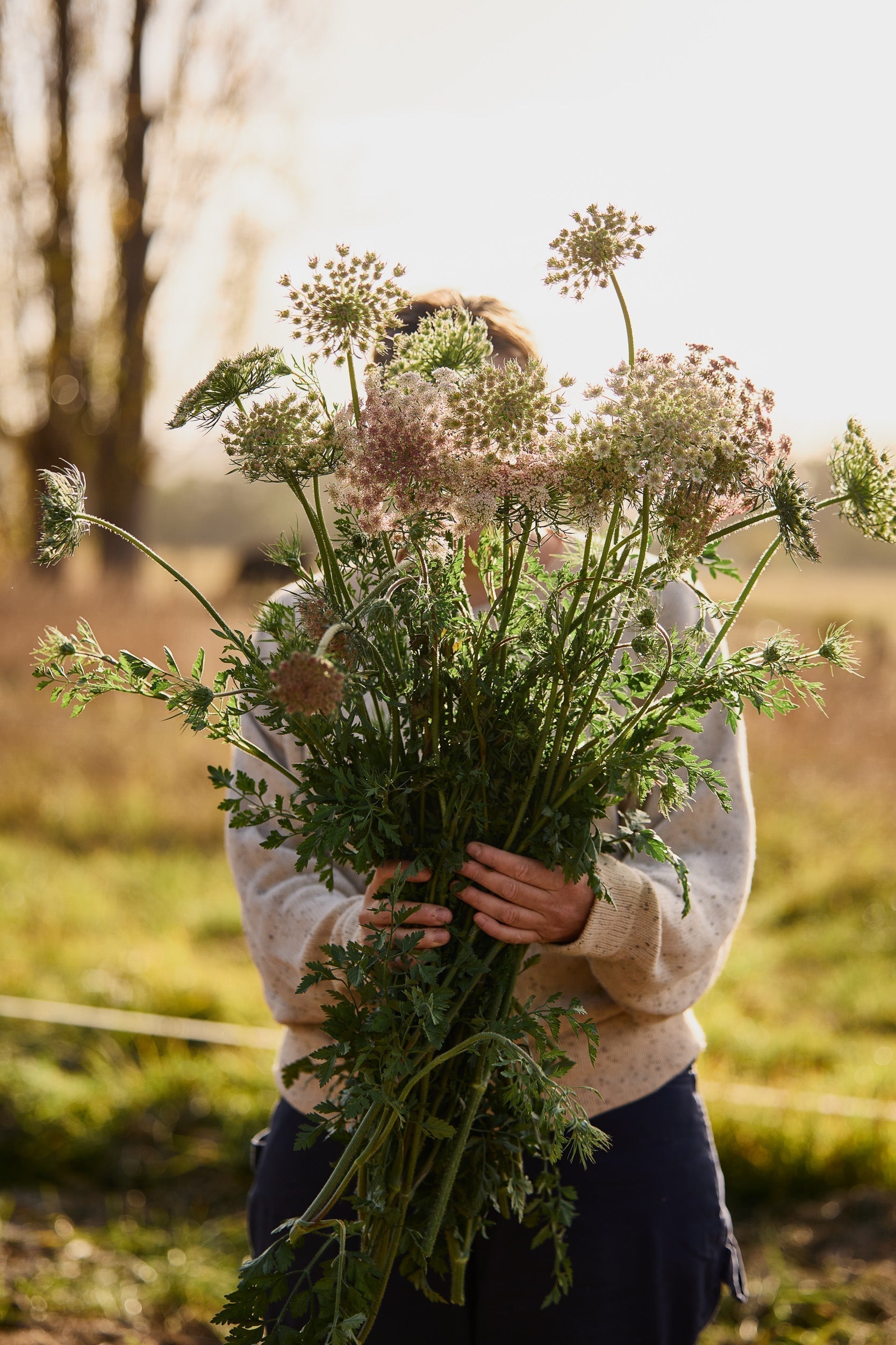 Our Favourite Filler and Foliage Flowers – Veggie & Flower Garden Seeds