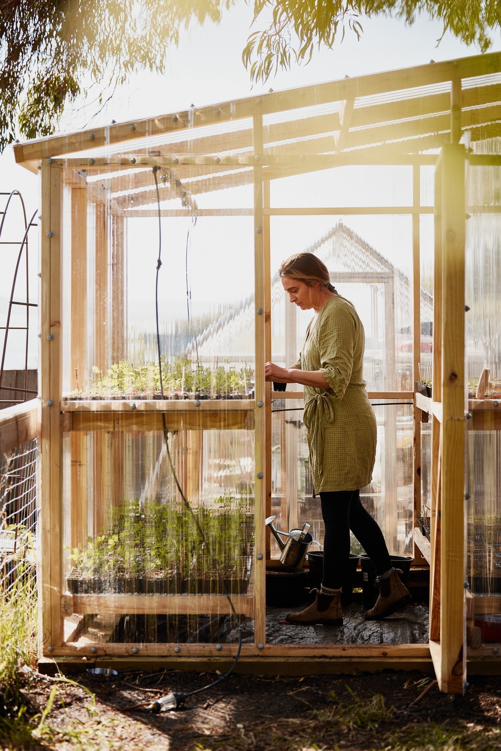 8 Spring Seed Sowing Tips For Australian Gardeners – Veggie & Flower ...