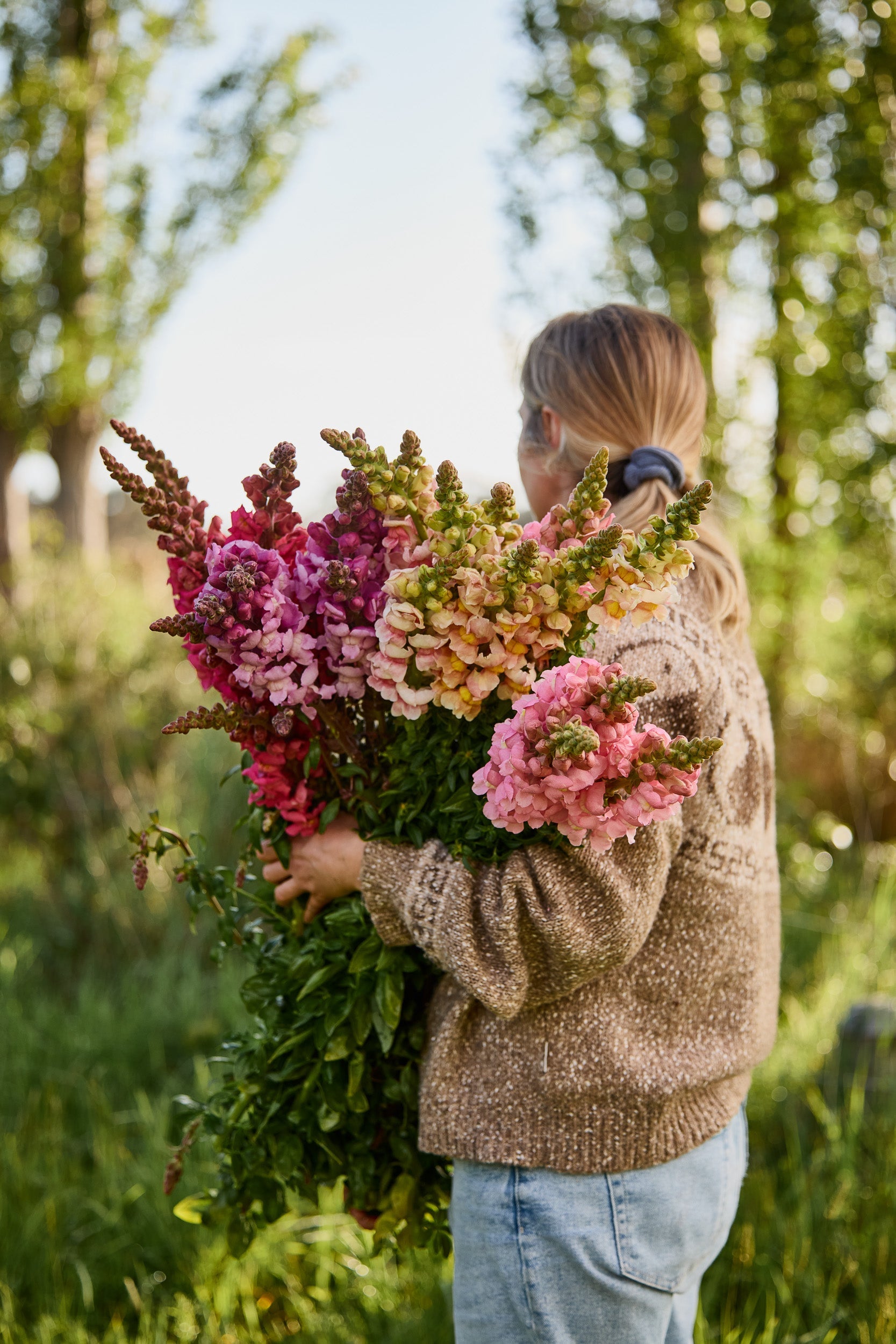 Snapdragon Flower Seeds – Veggie & Flower Garden Seeds