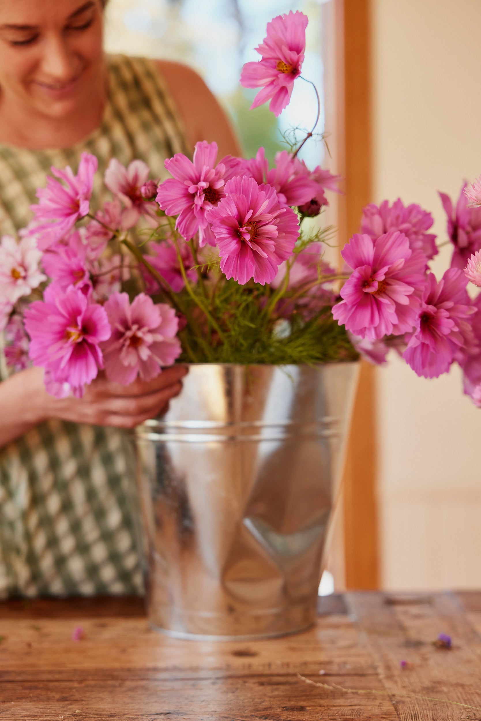 Cosmos Fizzy Rose Flower | X 50 Seeds – Veggie & Flower Garden Seeds