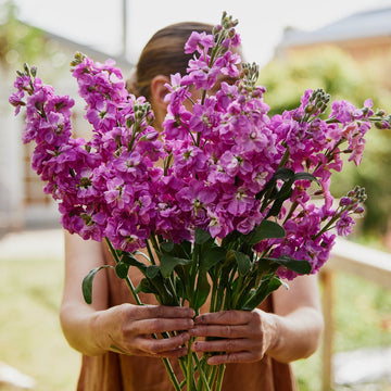 Flower Seeds – Page 4 – Veggie & Flower Garden Seeds