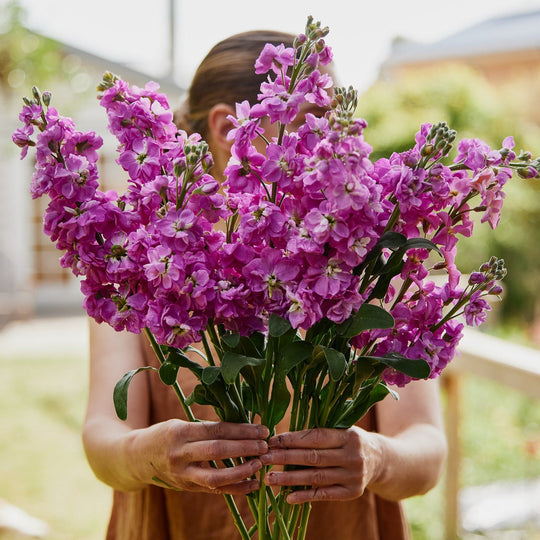 Flower Seeds – Page 4 – Veggie & Flower Garden Seeds