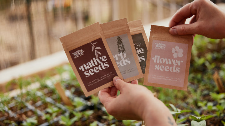 Australian Seed Sowing Collections By Climate & Month – Veggie & Flower ...