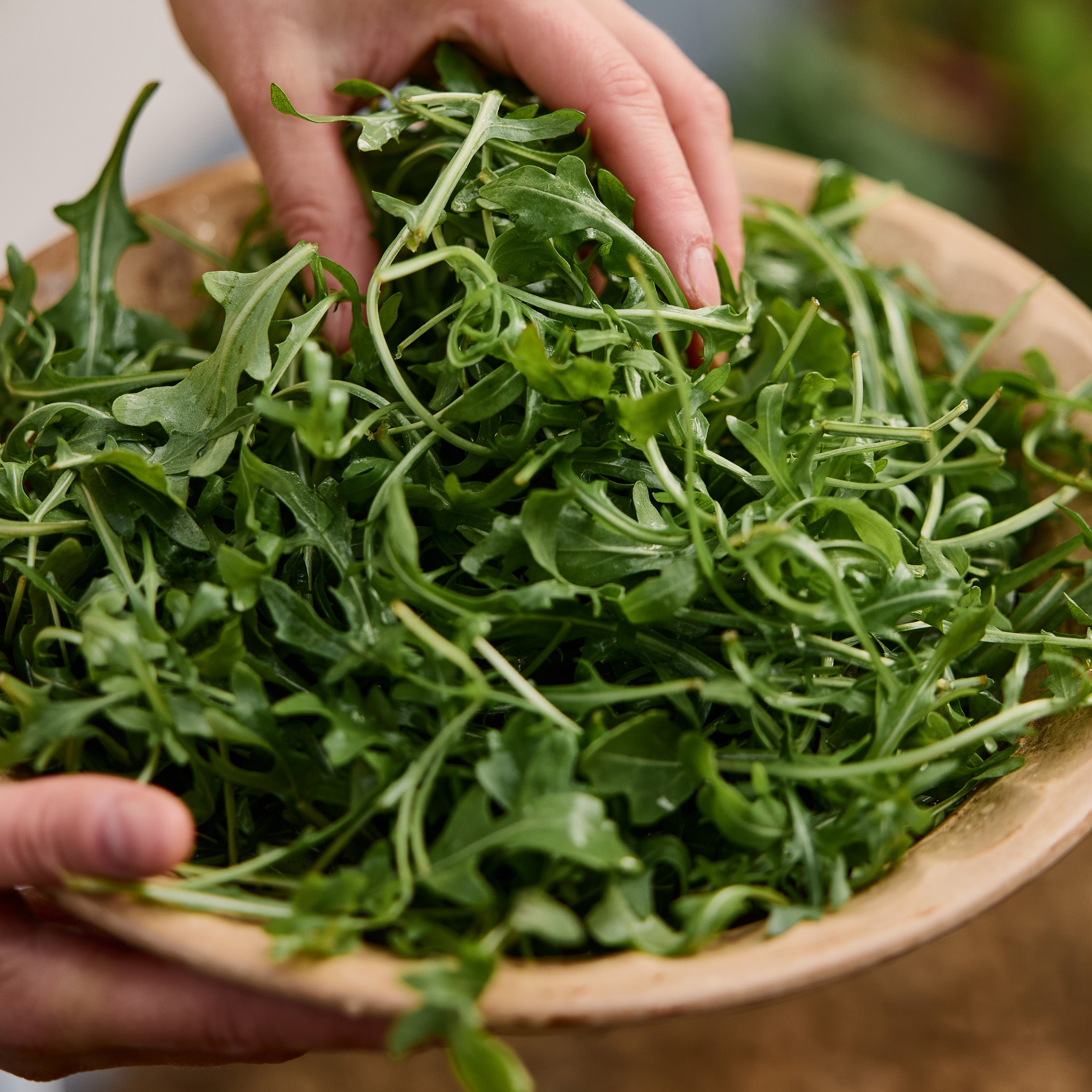 Rocket Salad Vegetable | X 200 Seeds – Veggie & Flower Garden Seeds