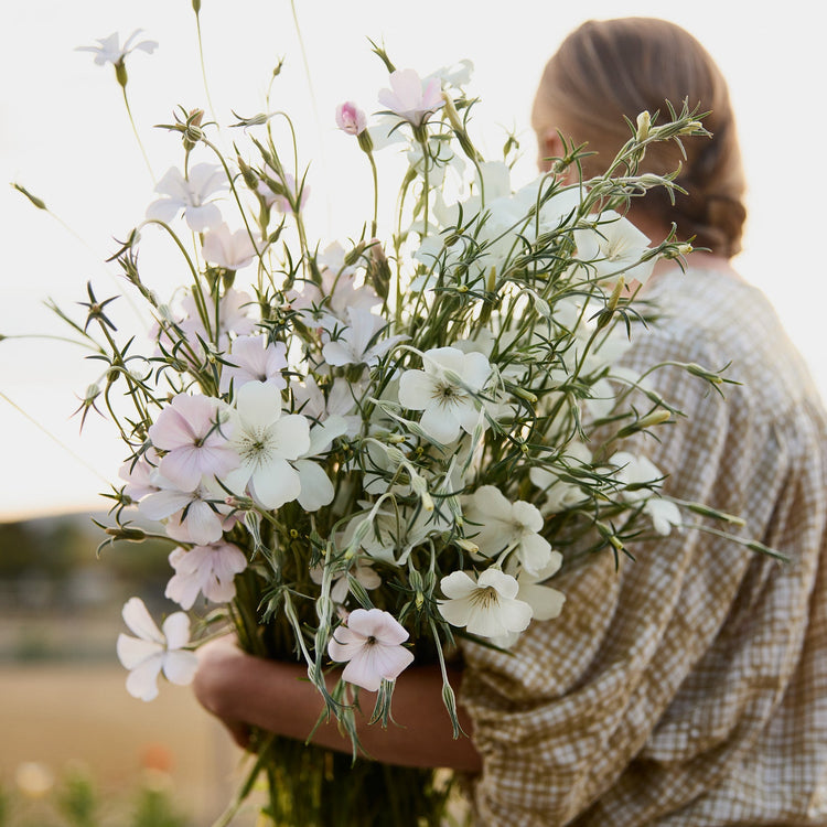 Corn Cockle Flower Seeds – Veggie & Flower Garden Seeds