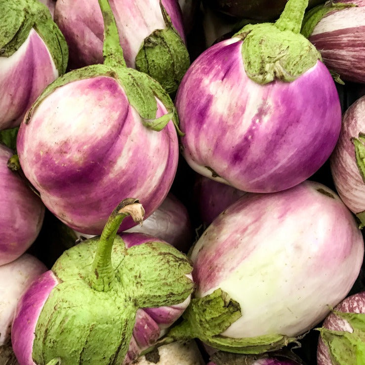 Eggplant Rosa Bianca Vegetable | X 50 seeds – Veggie & Flower Garden Seeds