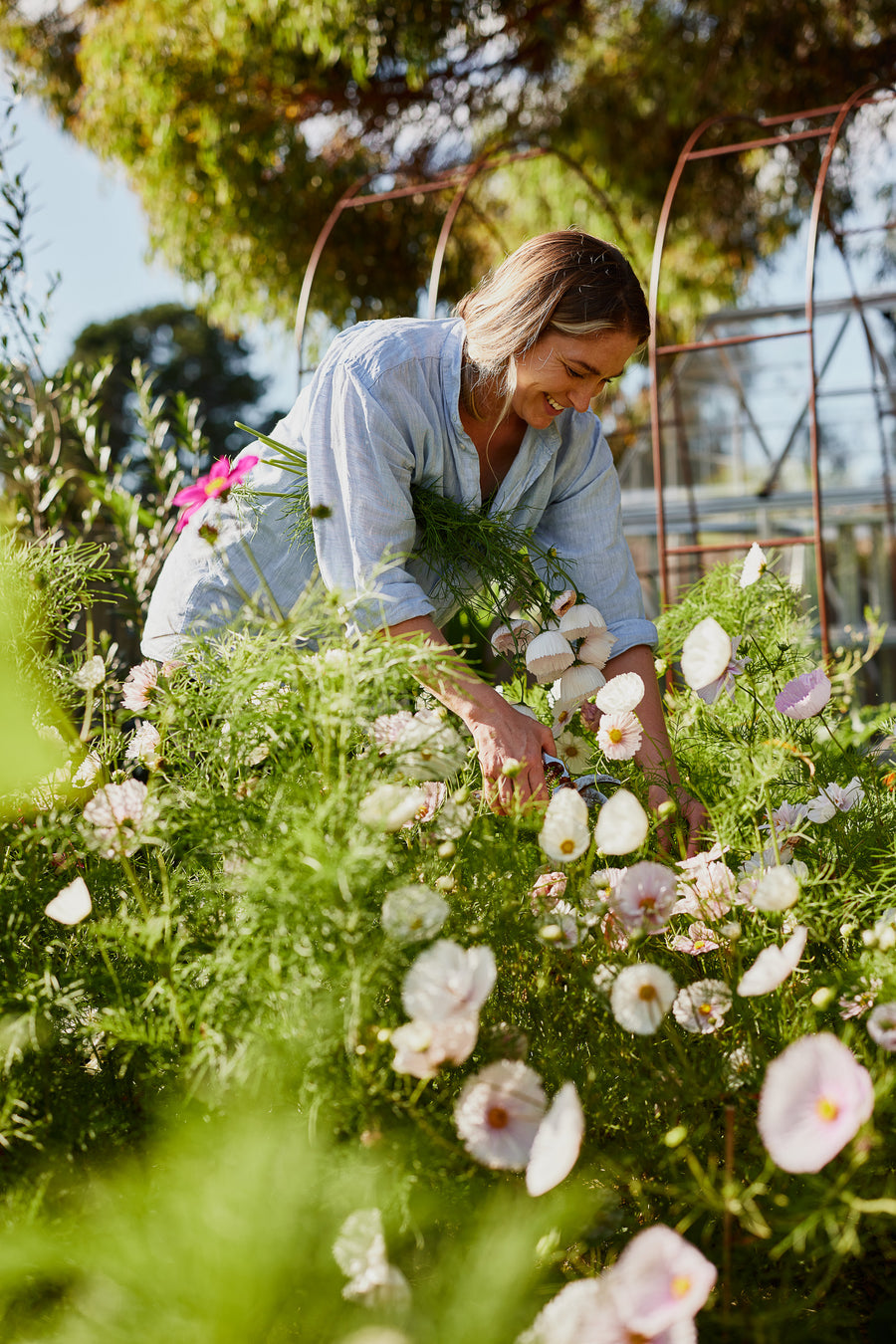 About our online flower and vegetable seed business – Veggie & Flower ...