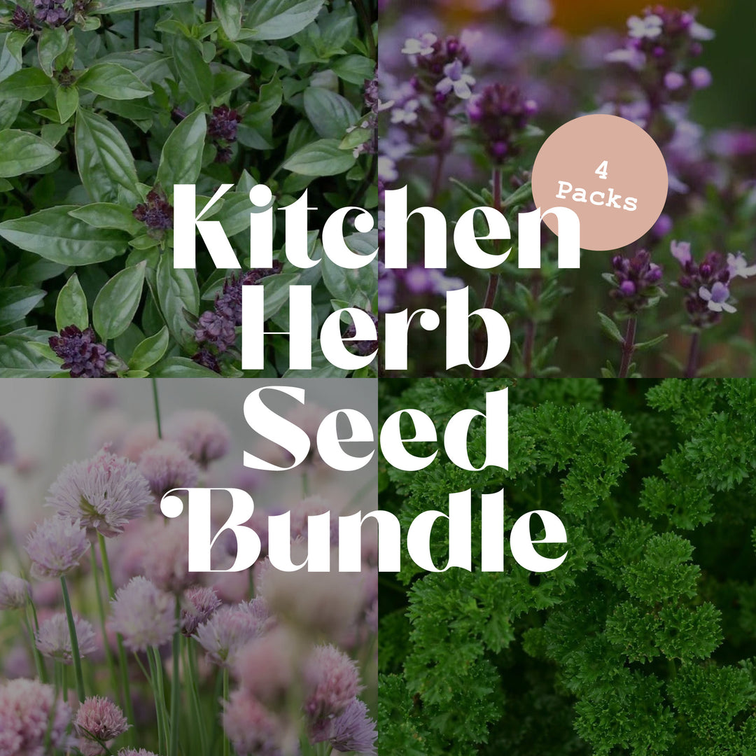 Seed Bundles – Veggie & Flower Garden Seeds