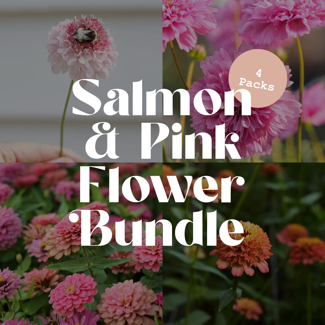 Seed Bundles – Veggie & Flower Garden Seeds