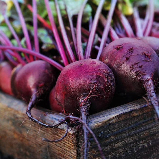 Veggie, Herb, Flower + Australian Native Seeds - Fast dispatch – Page 2 ...