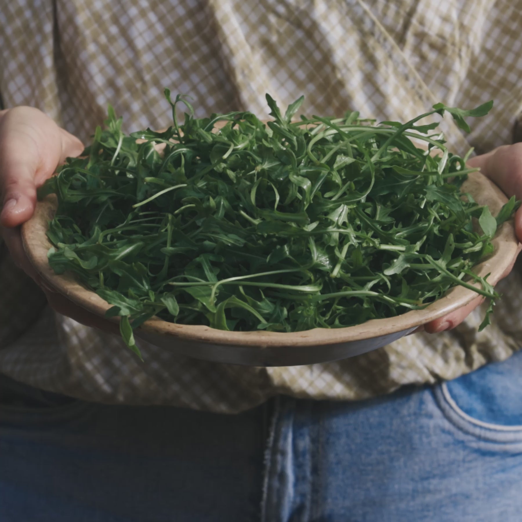 Rocket Salad Vegetable | X 200 Seeds – Veggie & Flower Garden Seeds
