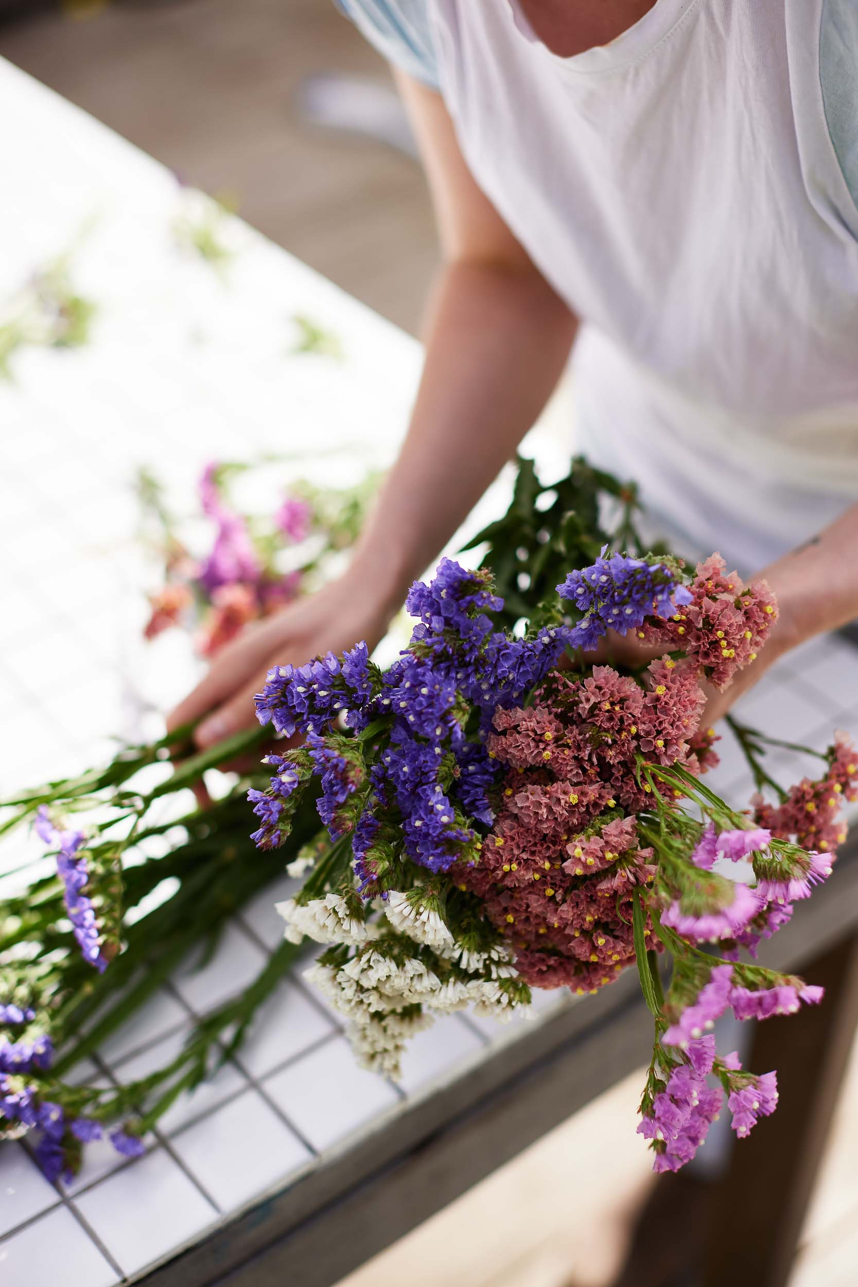 Statice Midnight Blue Flower | X 50 Seeds – Veggie & Flower Garden Seeds