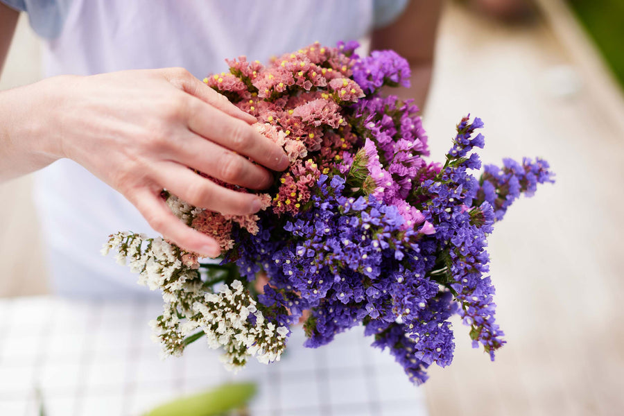 Statice Midnight Blue Flower | X 50 Seeds – Veggie & Flower Garden Seeds