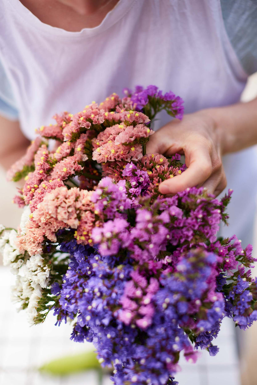 Statice Pacific Mix Flower | X 50 Seeds – Veggie & Flower Garden Seeds