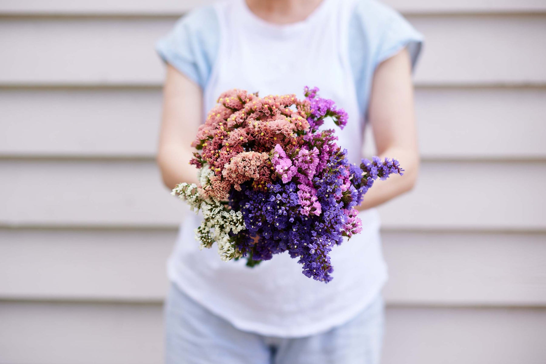 Statice Pacific Mix Flower | X 50 Seeds – Veggie & Flower Garden Seeds