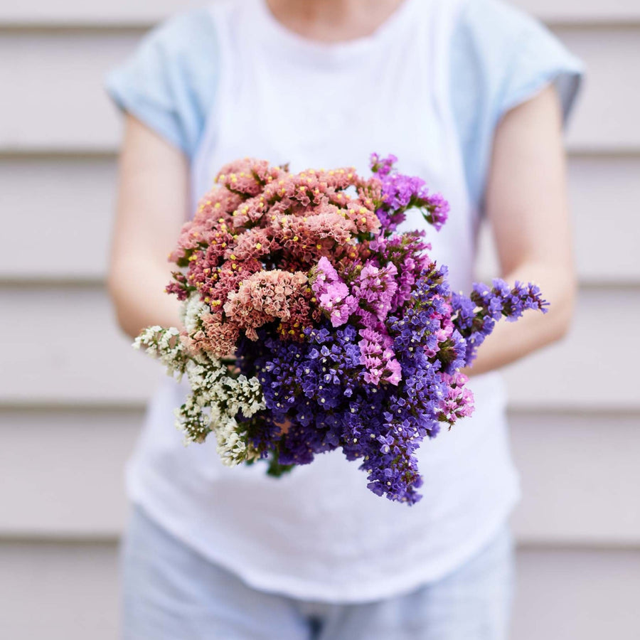 Statice Roselight Flower | X 50 Seeds – Veggie & Flower Garden Seeds