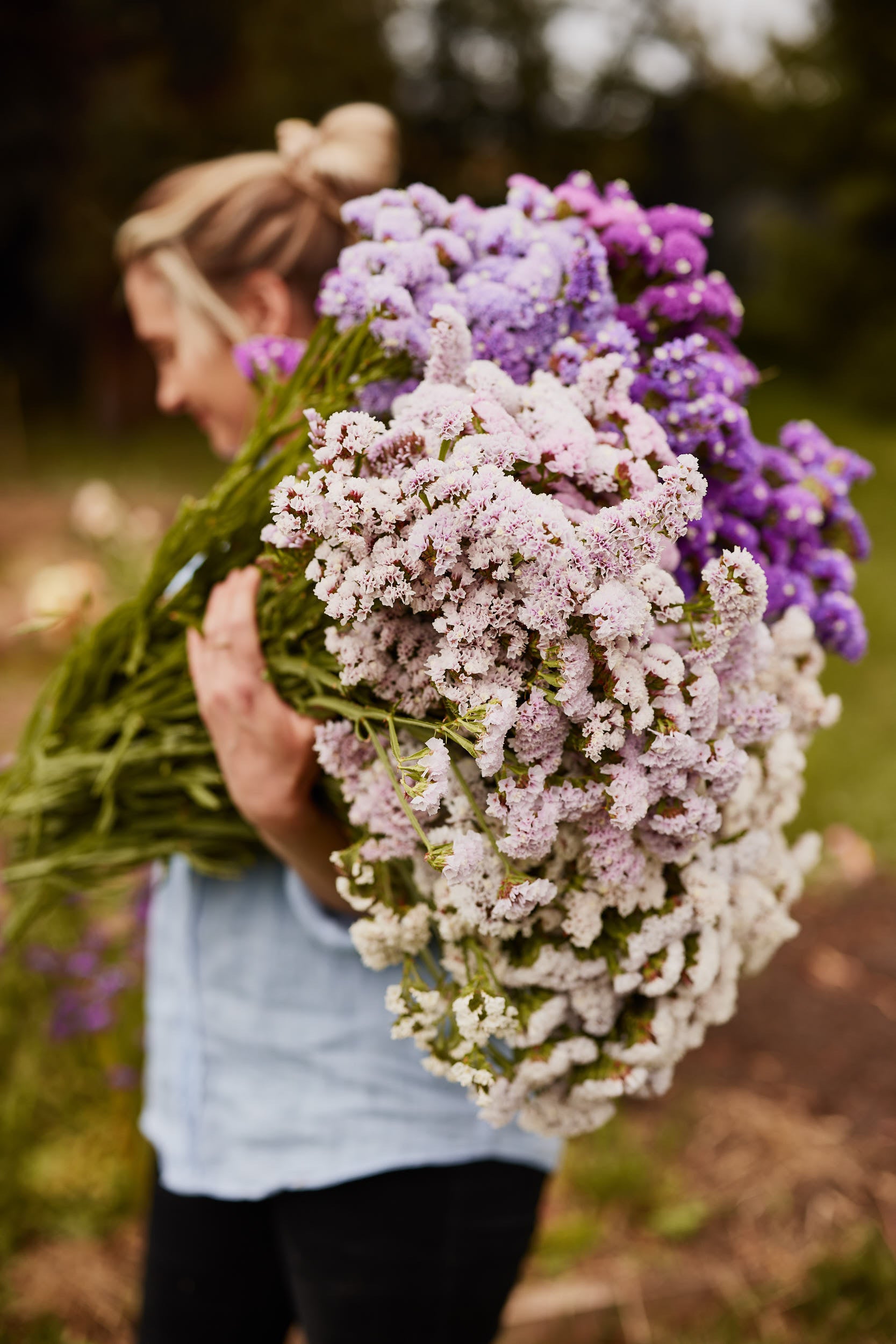 Statice Pastel Mix Flower | X 50 Seeds – Veggie & Flower Garden Seeds