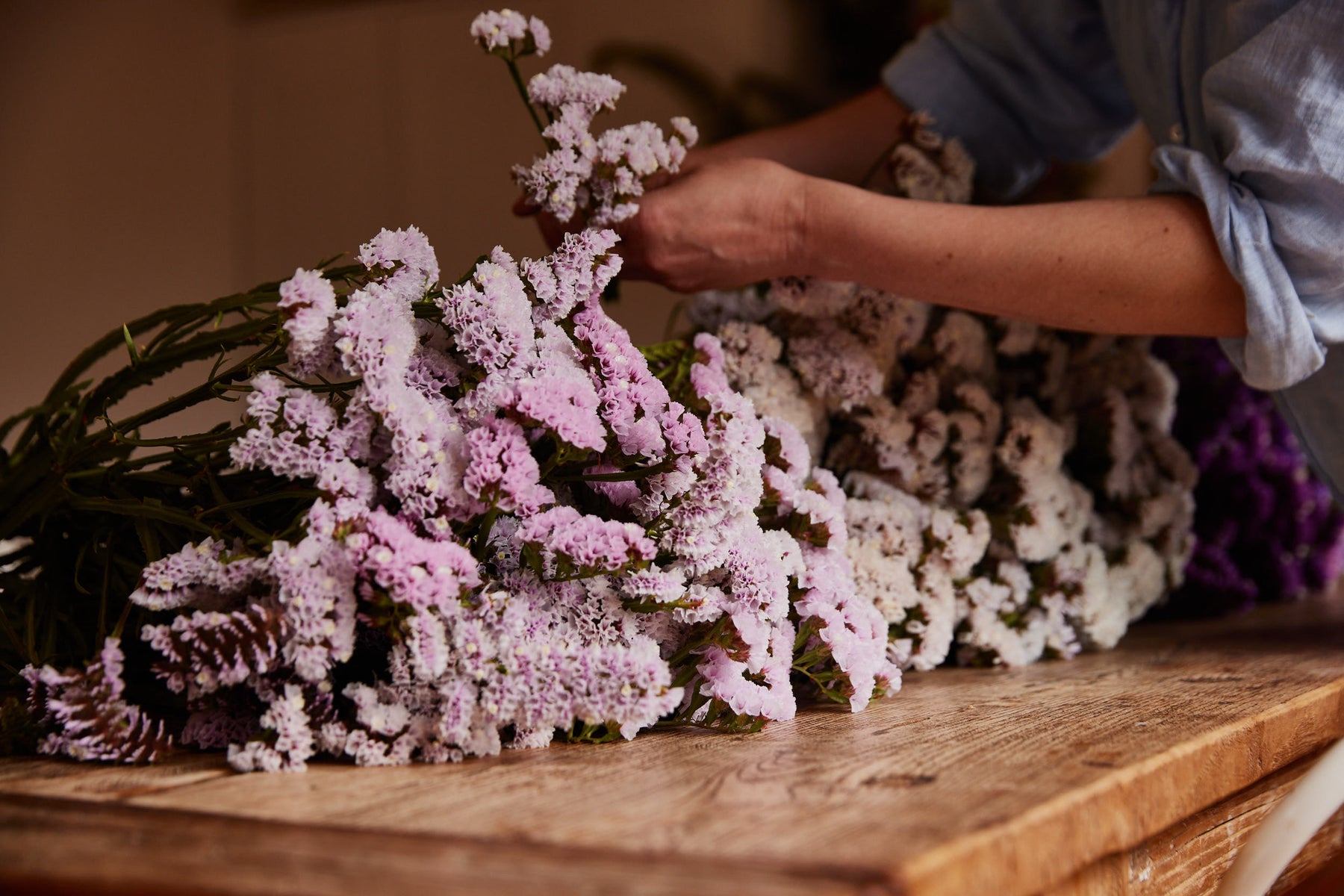 Statice Pastel Mix Flower | X 50 Seeds – Veggie & Flower Garden Seeds