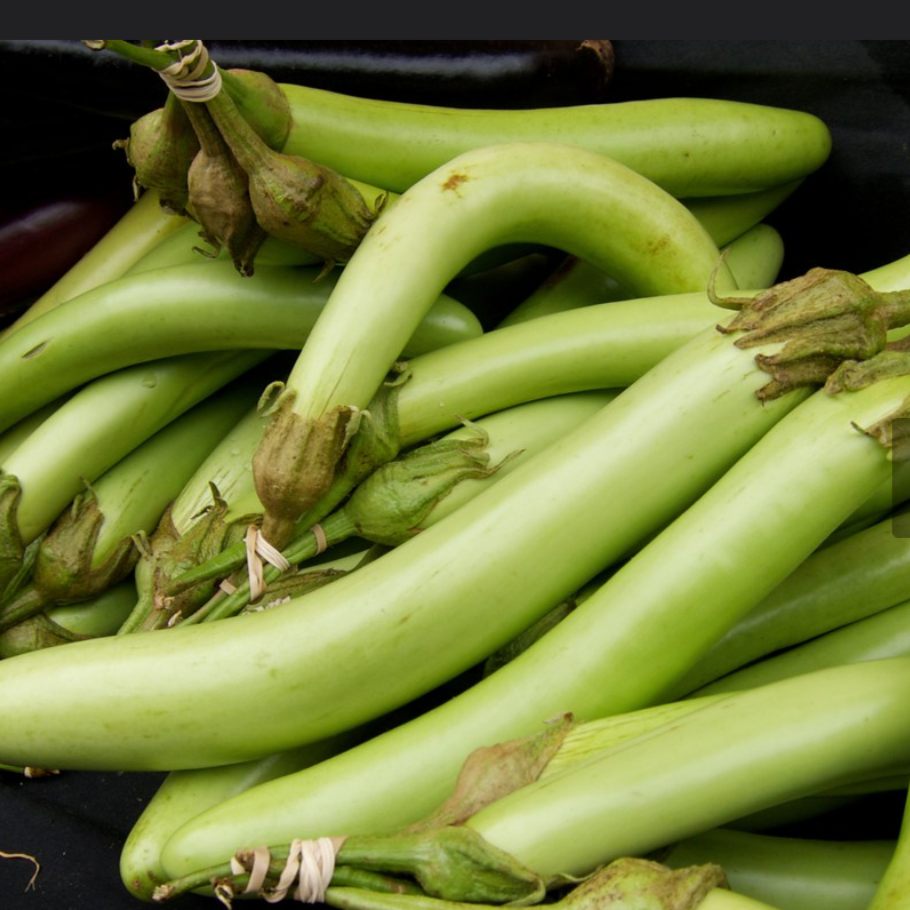 Eggplant Long Green Vegetable | X 50 Seeds – Veggie & Flower Garden Seeds
