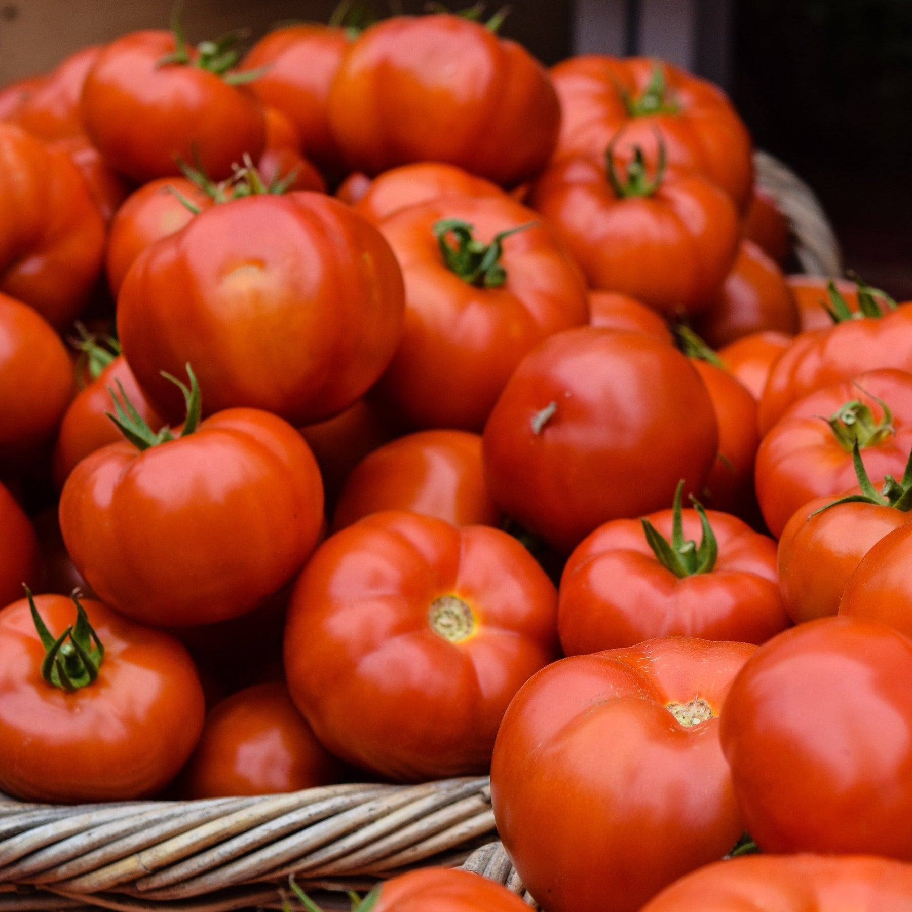 Tomato Red Russian | X 100 Seeds (NOT TO WA) – Veggie & Flower Garden Seeds